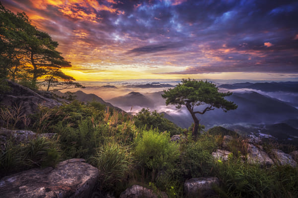 Jaewoon U's Photos & Galleries | 500px