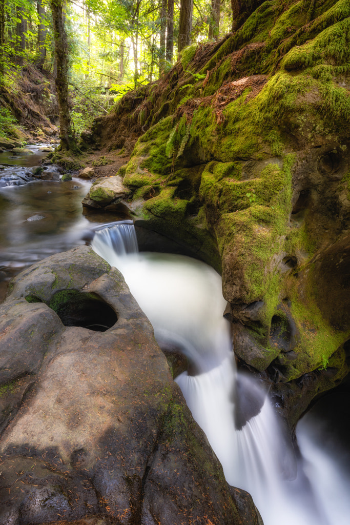 Waterfall, Whatcom Falls Park by Dale Johnson / 500px