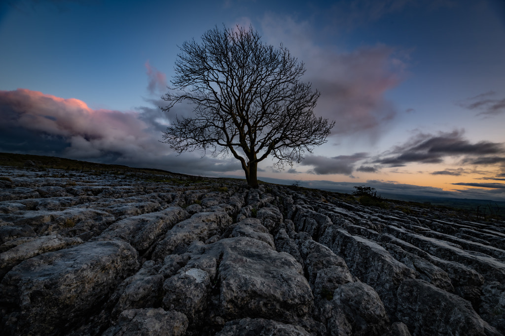 Heart of Stone by Danny Wilson / 500px
