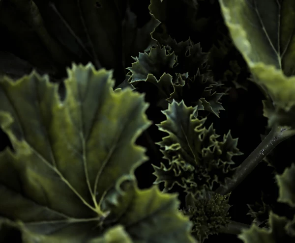 Nature's patterns by Gary Parris | 500px