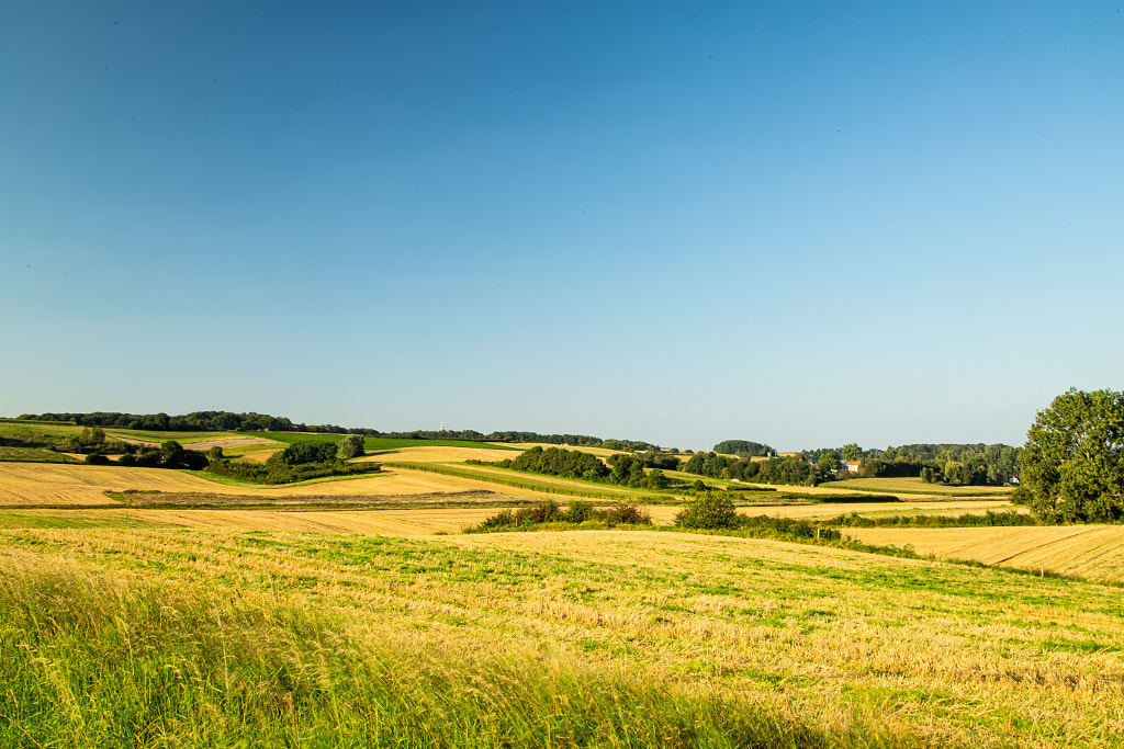 End of summer landscape by Tristan Herftijd / 500px
