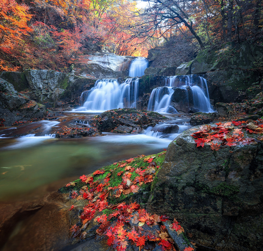 Autumn Waterfall by Jaewoon U / 500px