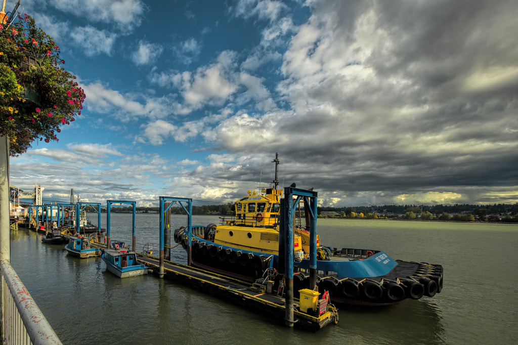 SST Tiger Sun (2023) by Cas Balicki / 500px