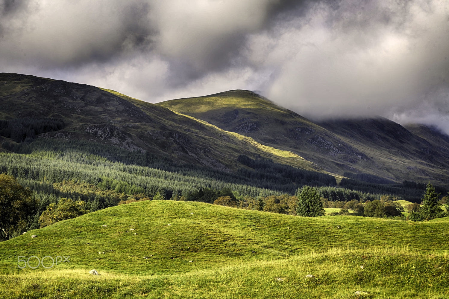 MIST ON THE HILLS by Hilda Murray / 500px