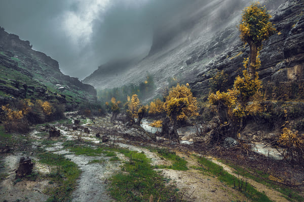 Samal Tofik (samaltofik) Profile / 500px