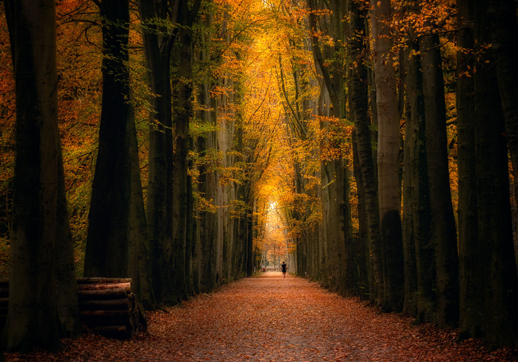 Autumn by Angela Raben / 500px