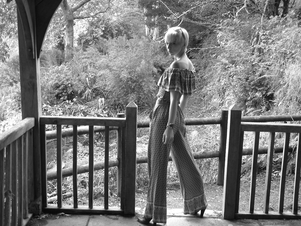 S t a n c e by Howard Nowlan / 500px