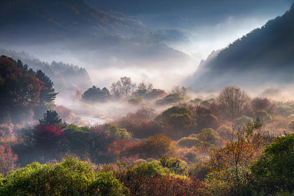Jaewoon U's Photos & Galleries | 500px
