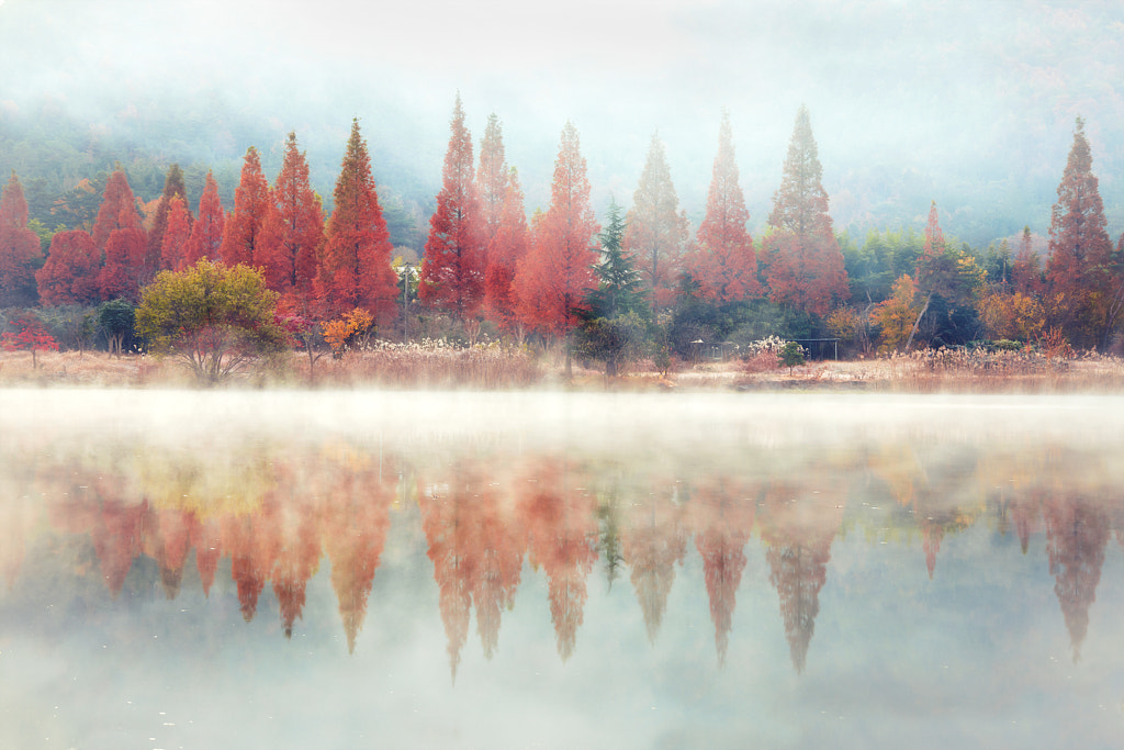 Deep fog by Jaewoon U / 500px