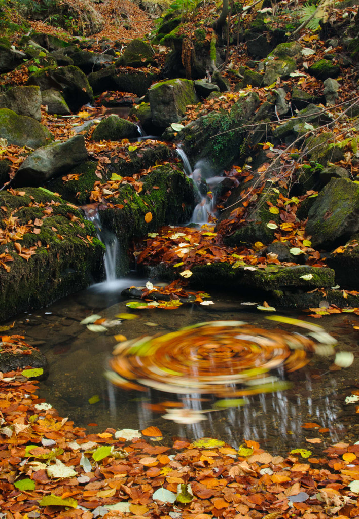 Waterfall by Anna P / 500px