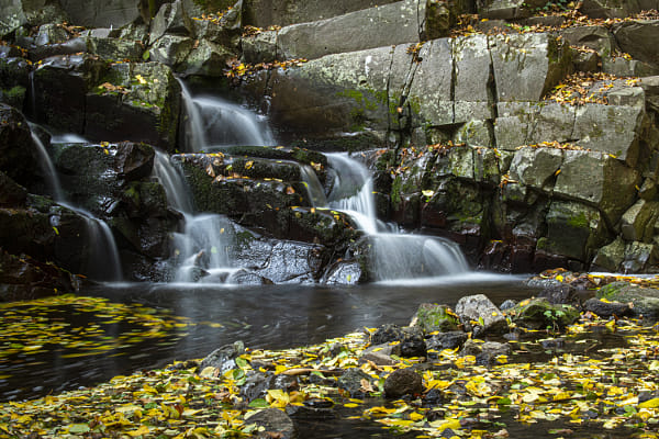 Katalin Bán (ladybugnyanya) Profile / 500px