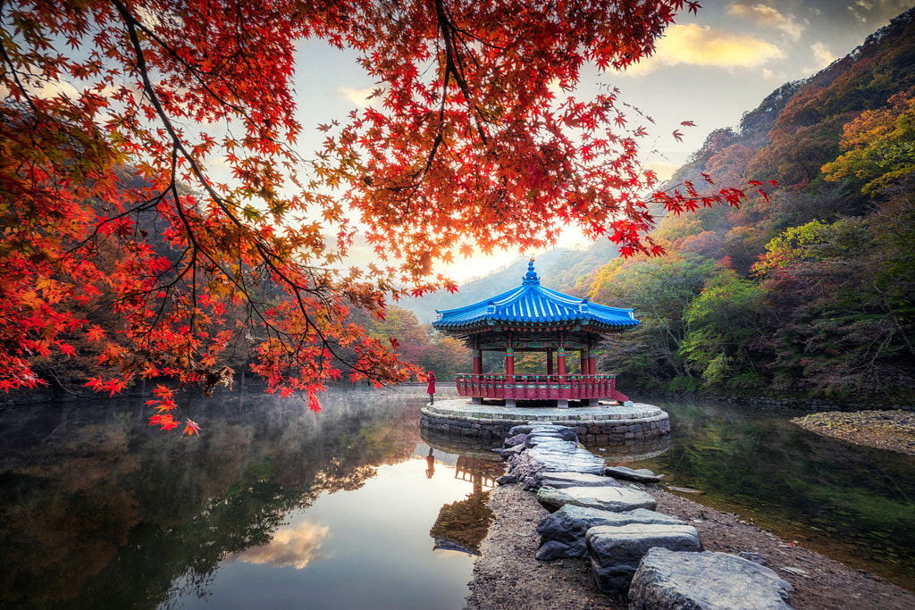 Autumn Morning by Jaewoon U / 500px