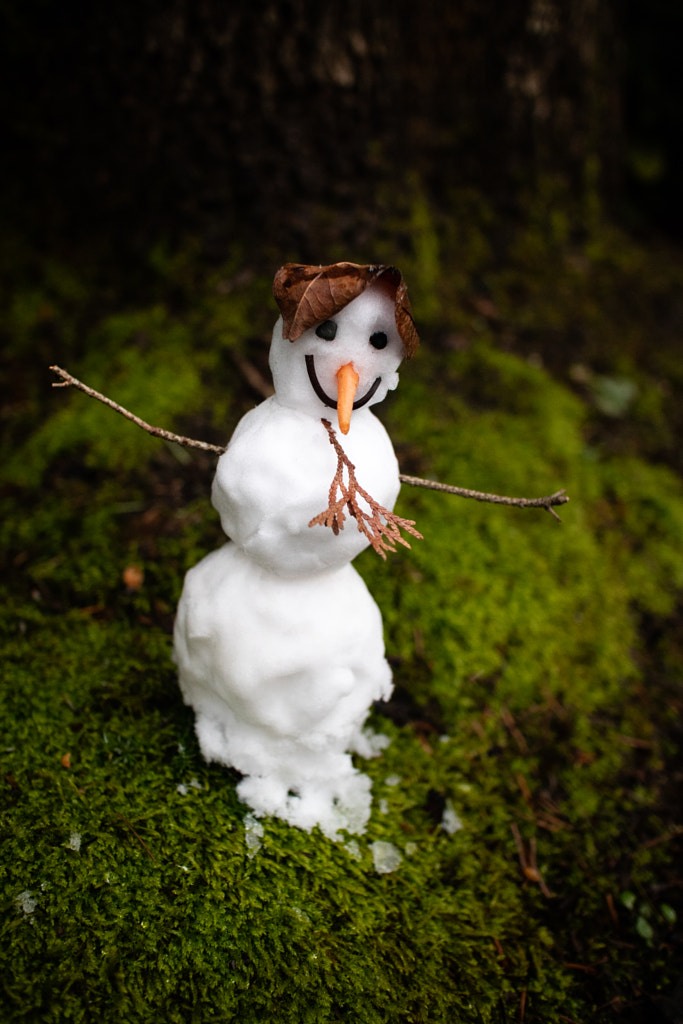Spring Snowman by Douglas Arnet / 500px