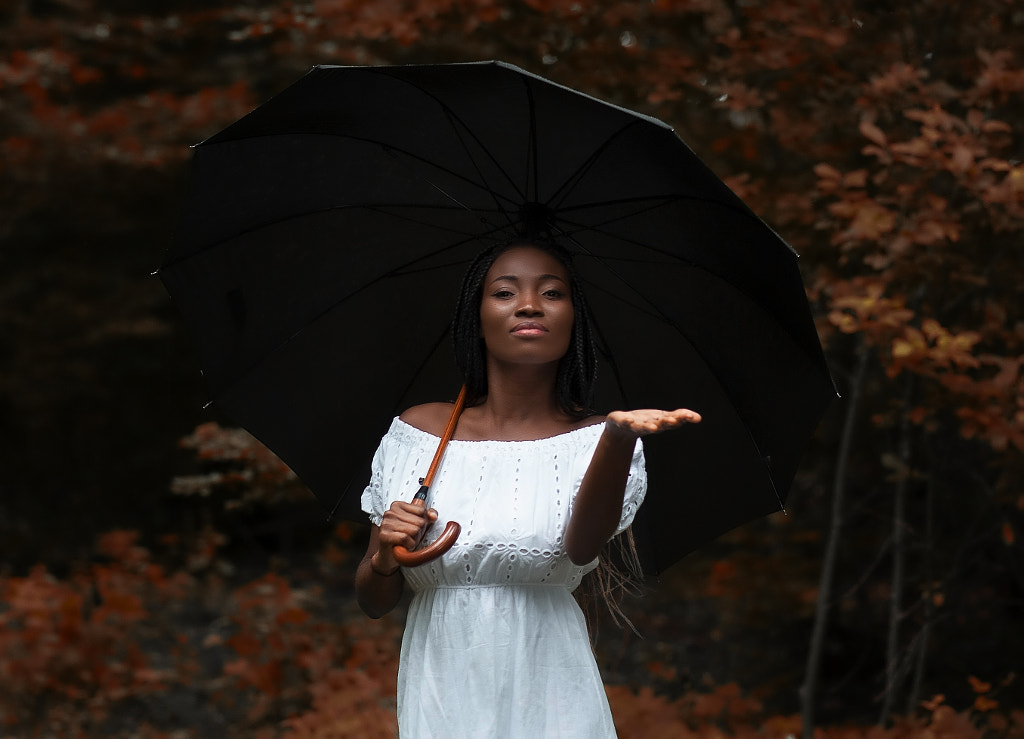 Herbst by Frank Reinbold / 500px