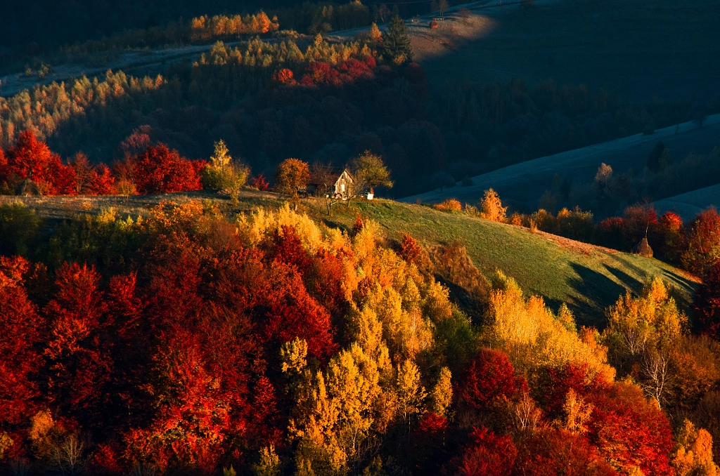 Autumn morning by Ana Tatarus / 500px