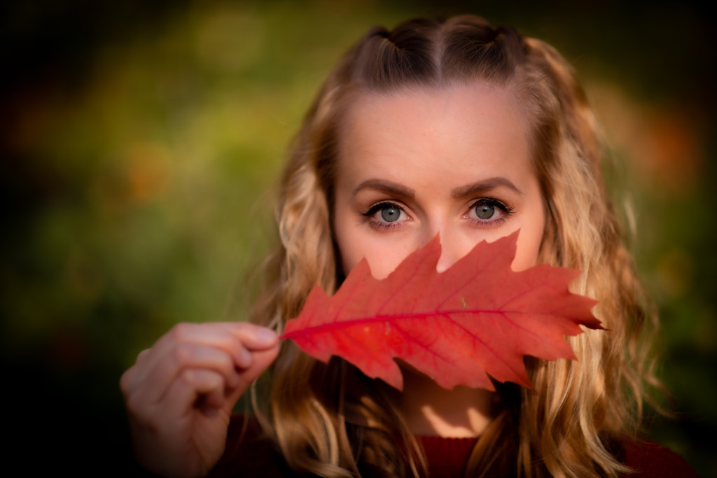 Herbst by Frank Reinbold / 500px
