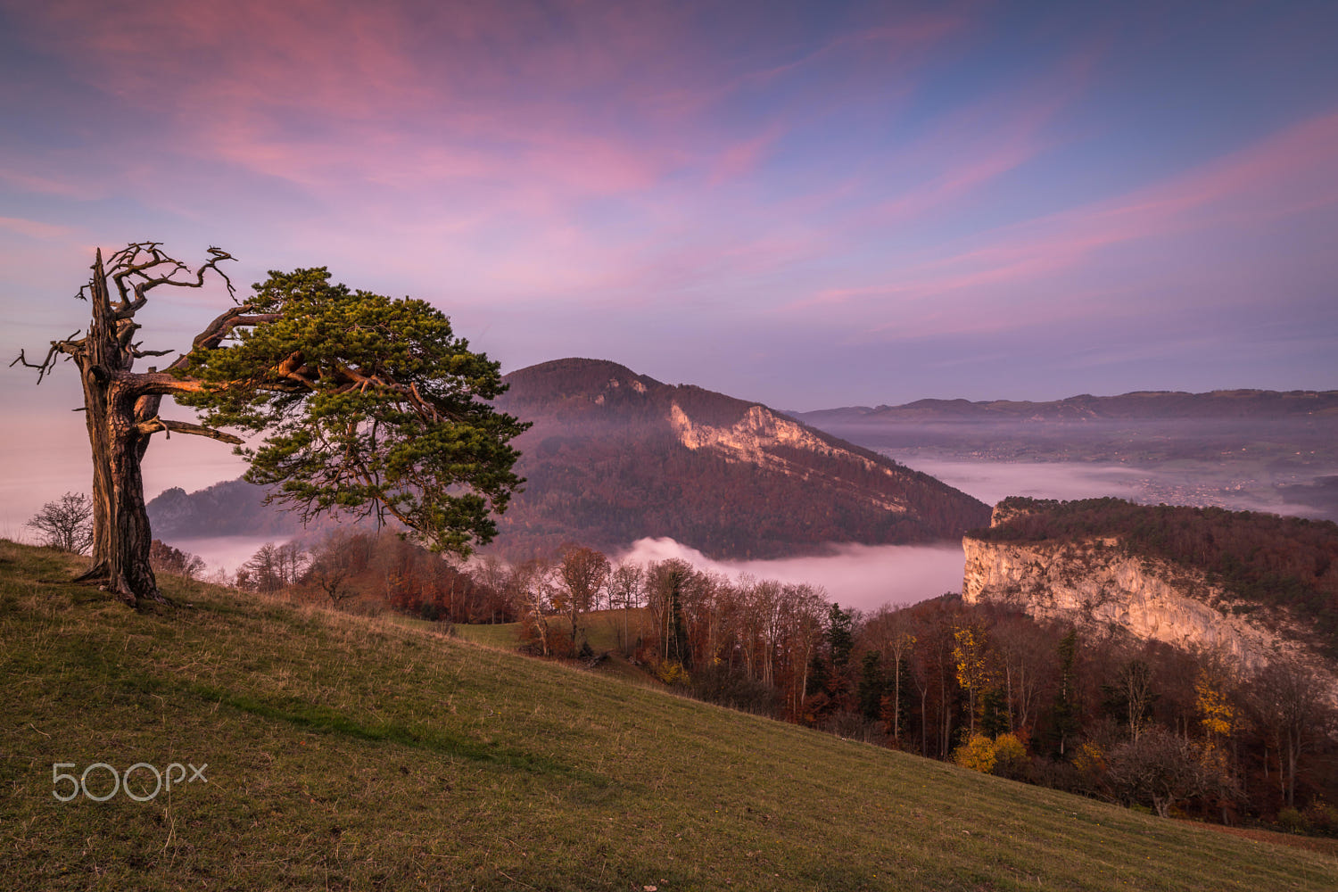 Parc naturel régional de Thal by yvan lawitschka / 500px
