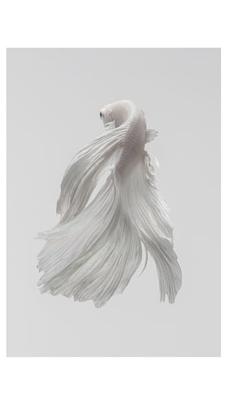 Ruby by Kate Scott | 500px