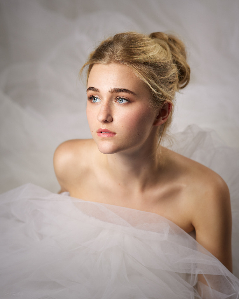 Robin by Dave Willems / 500px