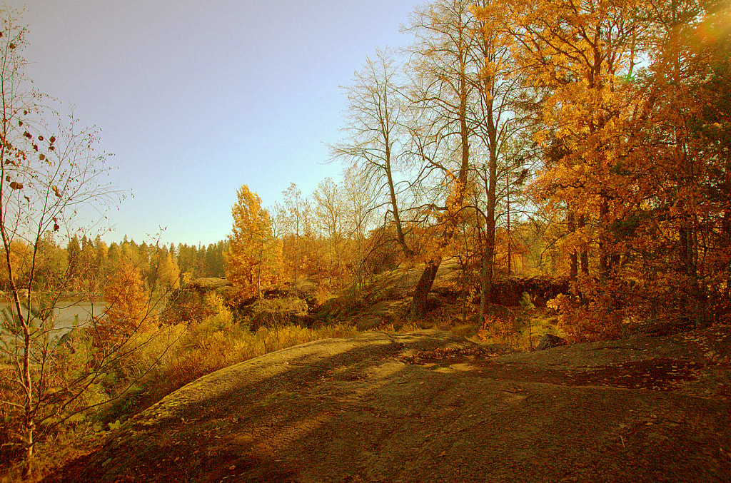 Nature of Karelia by Natali / 500px