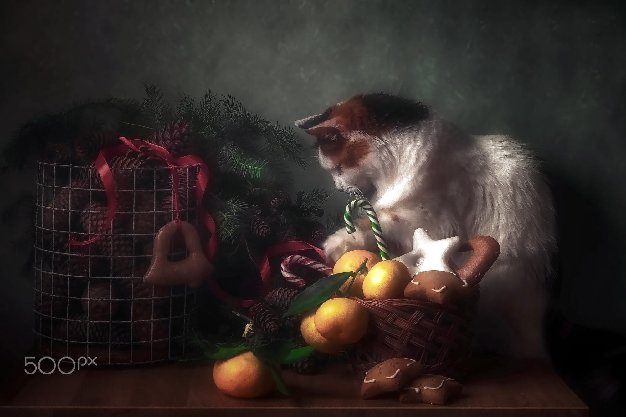 INTERPHOTO * TOP 500px 2021 curated by Gianfranco Marzetti / 500px