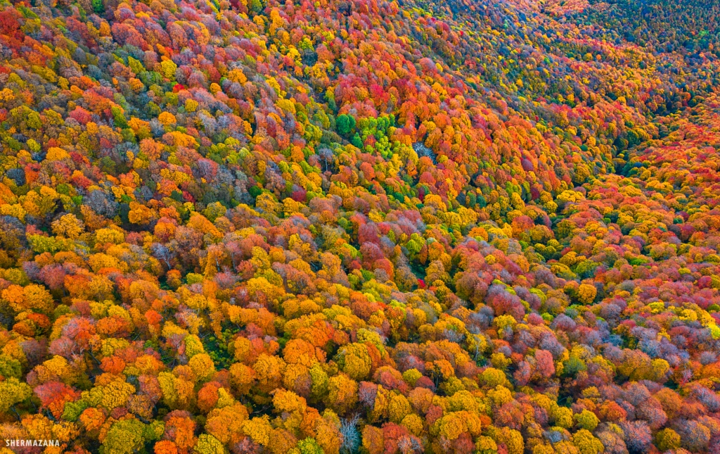 Colors of my world by Giorgi Shermazanashvili / 500px