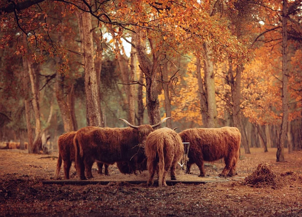 Tine Teeuw's Photos & Galleries | 500px