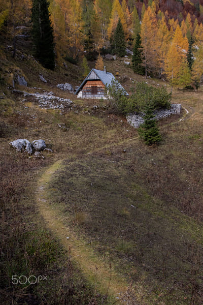Colors of autumn by Paniti Márta / 500px