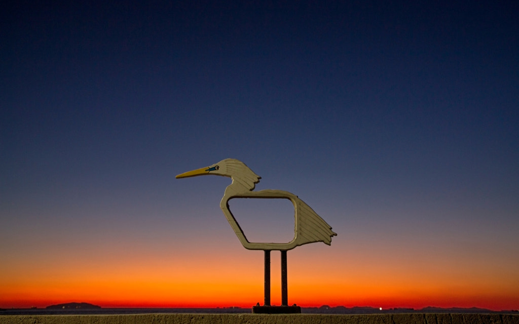 hopelessly addicted to sunset color by Waquixote / 500px