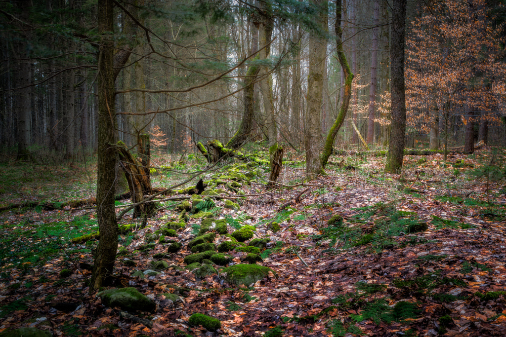 Once a boundary by Gordon Sheret / 500px