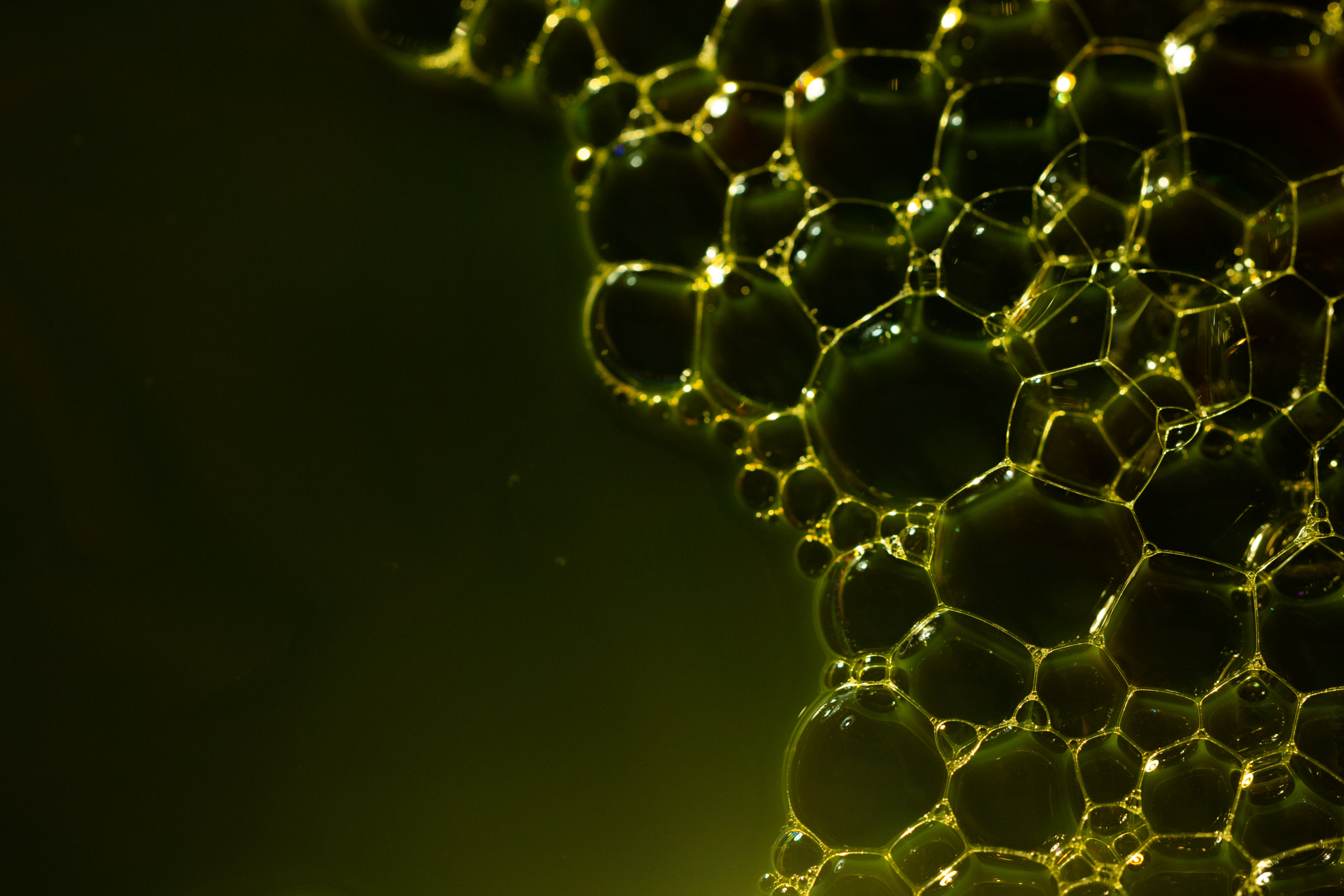 Soap foam and bubbles close up by engin akyurt | 500px