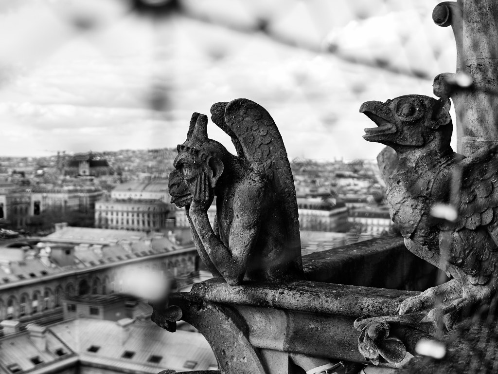 Le Stryge - a chimera of Notre Dame Cathedral, Paris by Sinta S / 500px