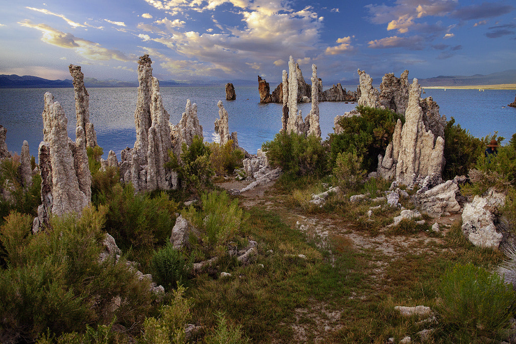 Mono Lake Tufas Tower by Wayne Rene / 500px