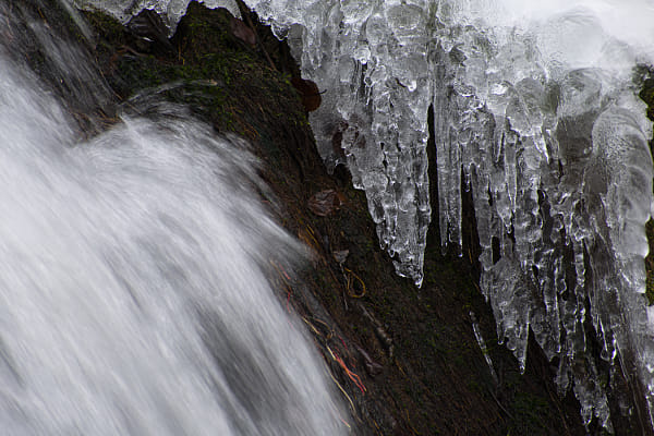 Katalin Bán (ladybugnyanya) Profile / 500px