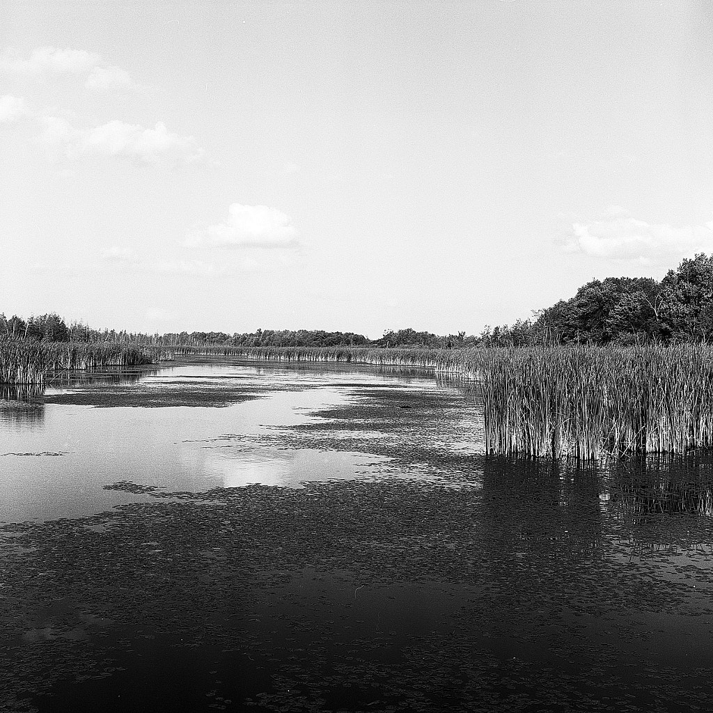 River by Alexandre Saucier / 500px