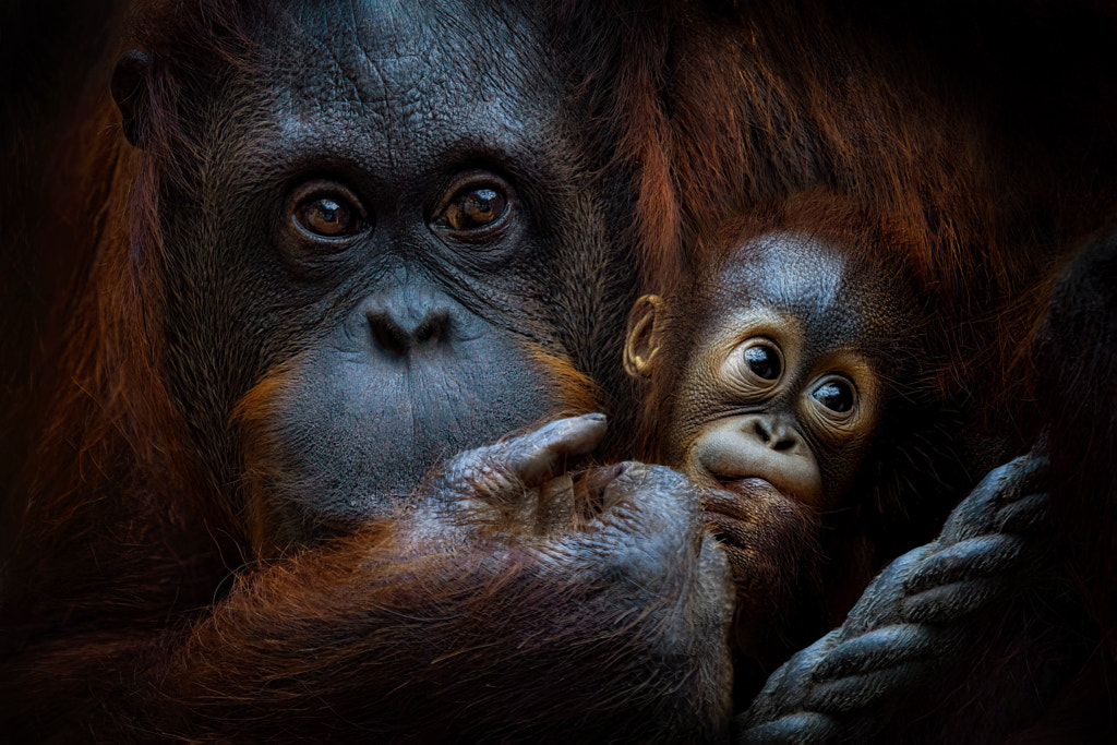 doting love by Michael Milfeit / 500px