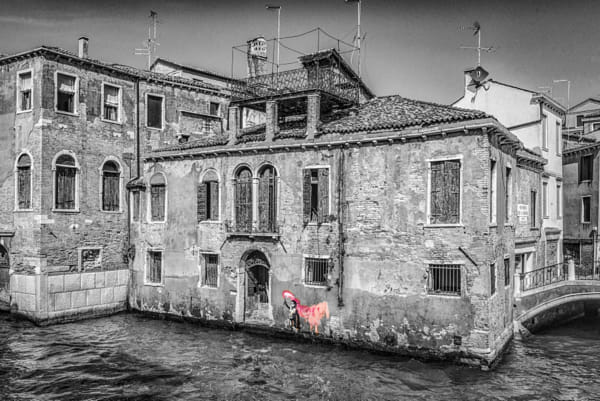 The heather tree by Markus van Hauten | 500px