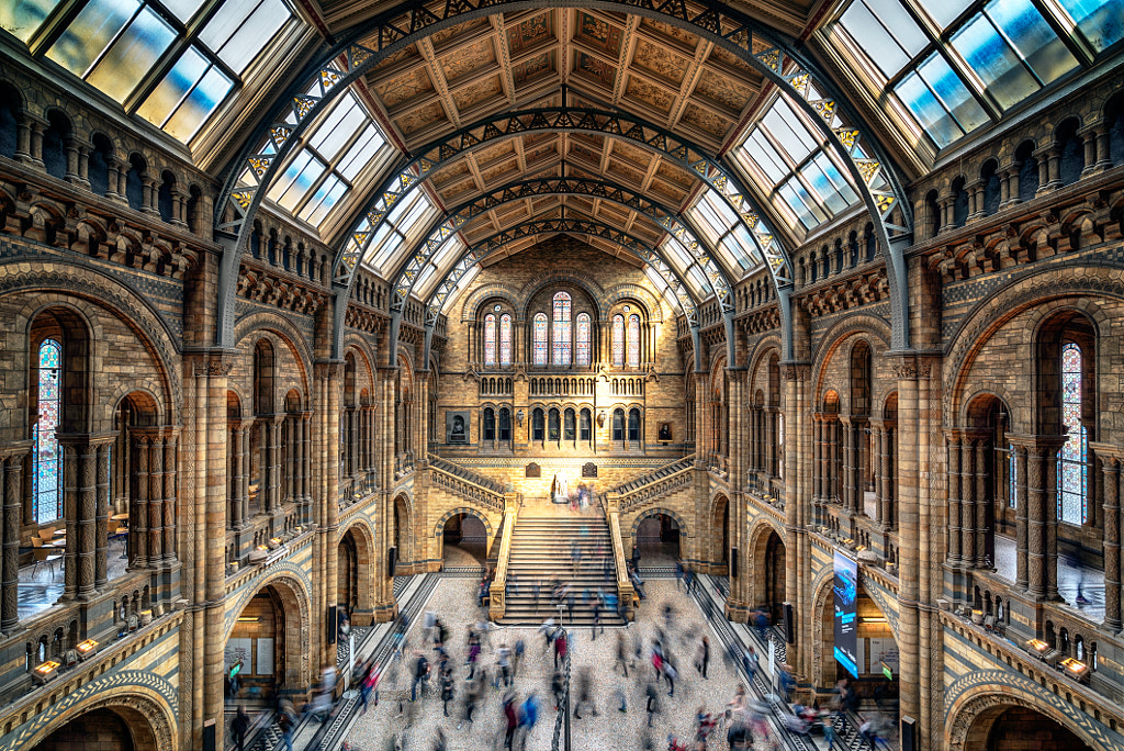 Natural History Museum, London by Yunli Song / 500px
