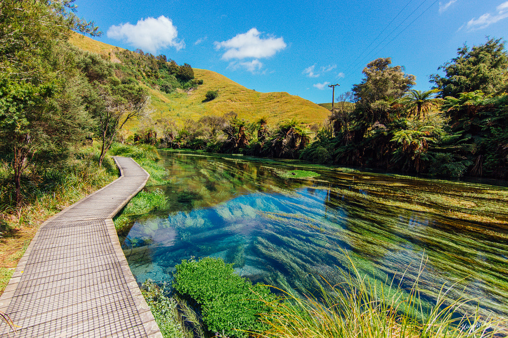 Blue Spring - Putaruru - NZ by Huy Andy / 500px