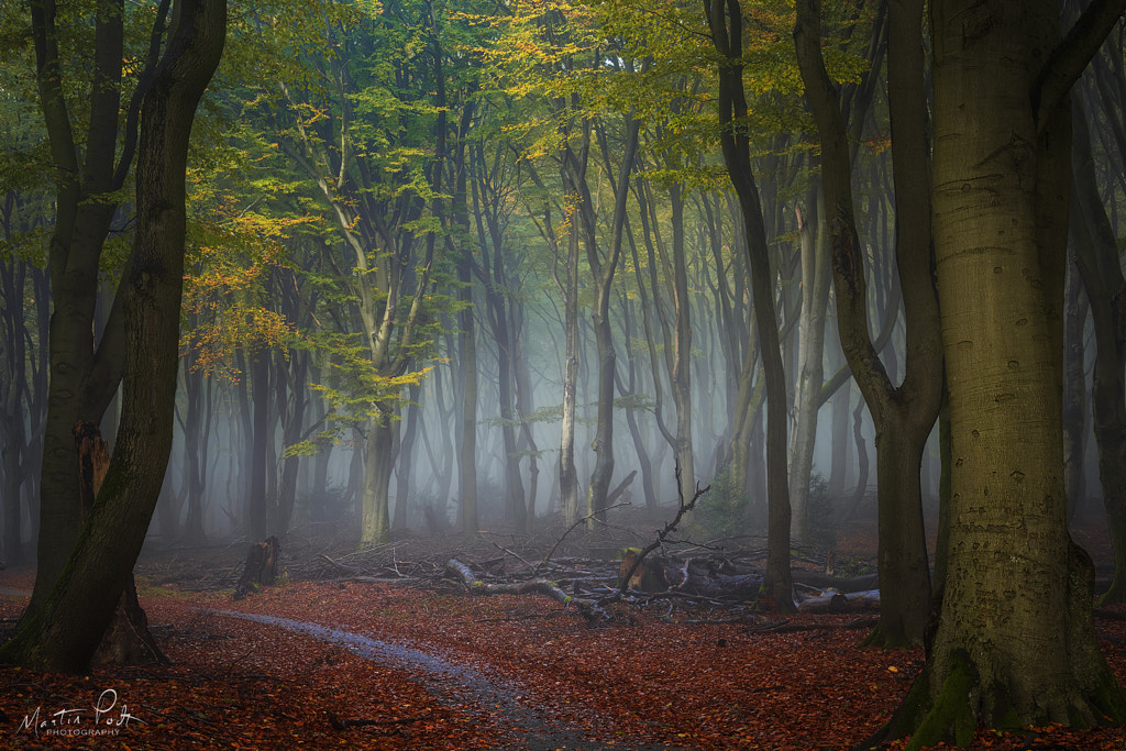 Fog incoming by Martin Podt / 500px