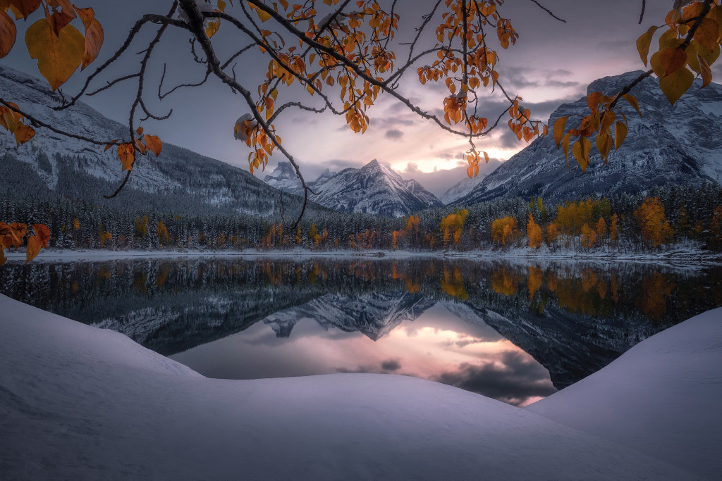 Framed in Fall by Ryan Dyar / 500px