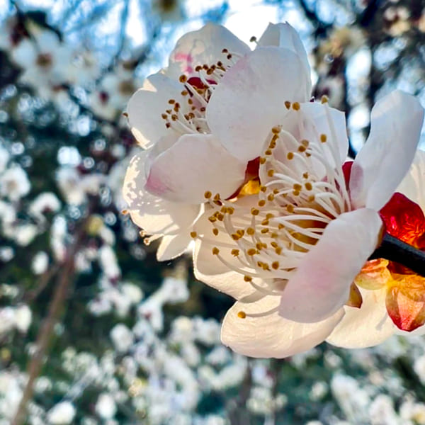 Chloe's Photos & Galleries | 500px