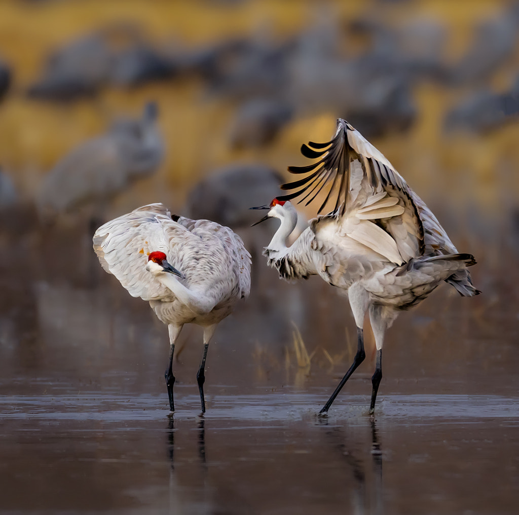 DD0A7644-1-Edit by Songhu Yan / 500px