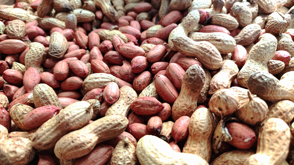 Nuts 4k Wallpaper by Mahmoud Khaled / 500px