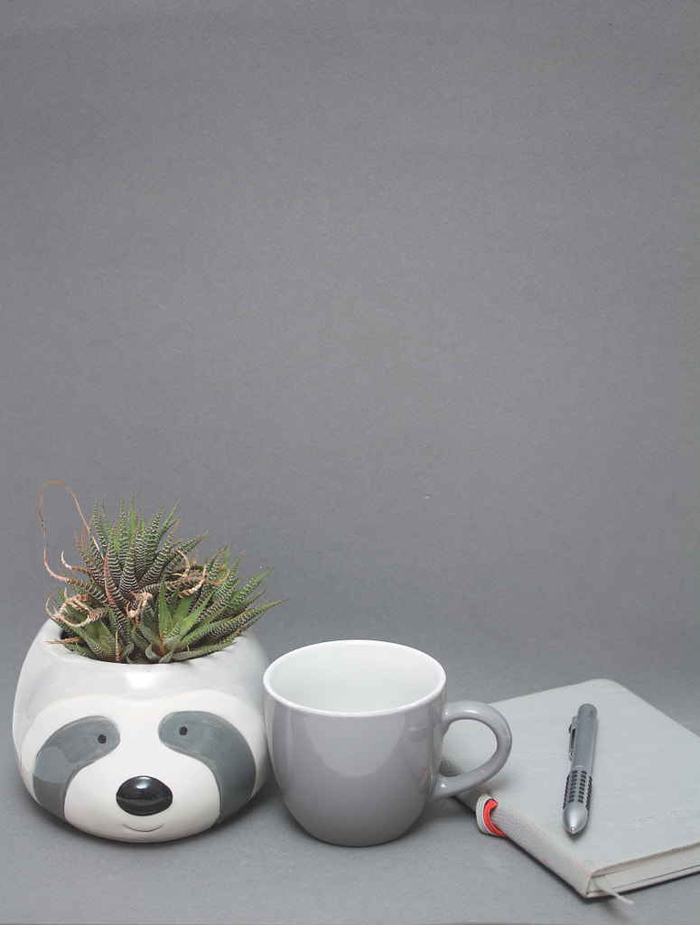 Some shades of gray by Sarah Saratonina / 500px