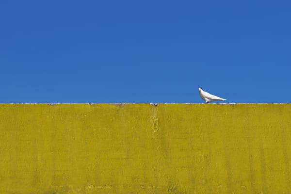 Samal Tofik (samaltofik) Profile / 500px