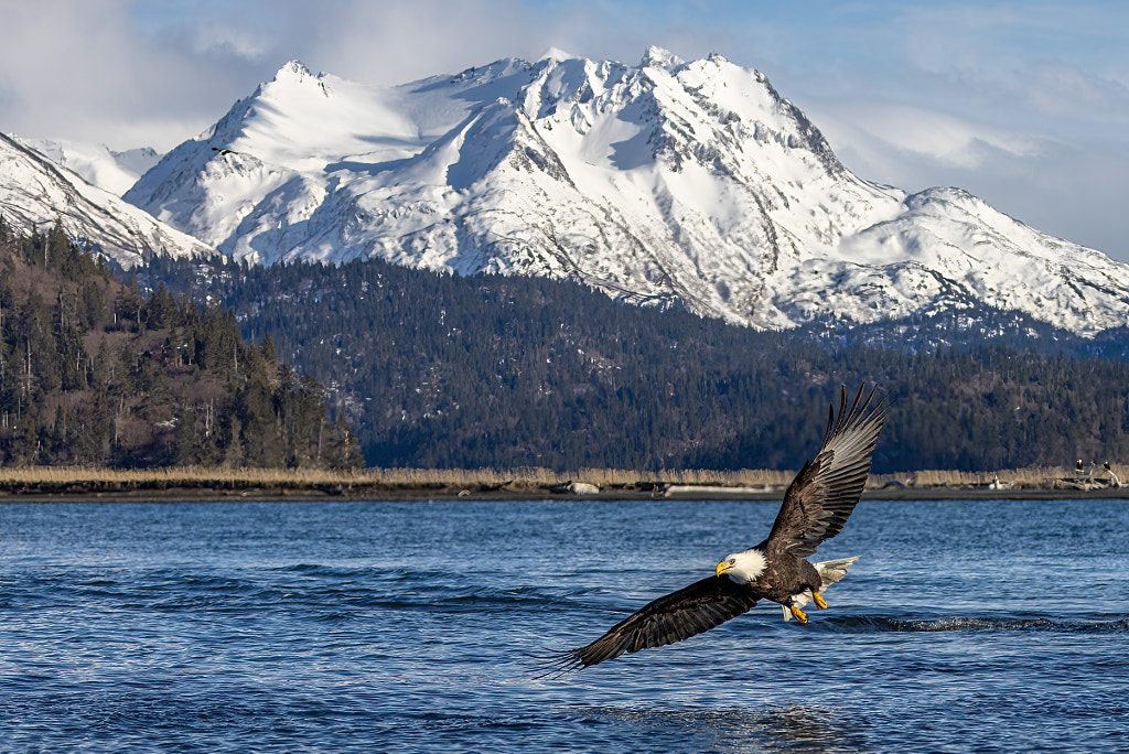 Alaska by Dan Fleming / 500px