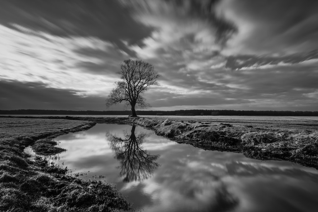 Reflection by Kamil Galanek / 500px