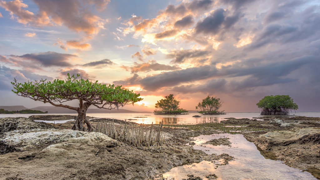 pioneers by Fabian Eipel / 500px