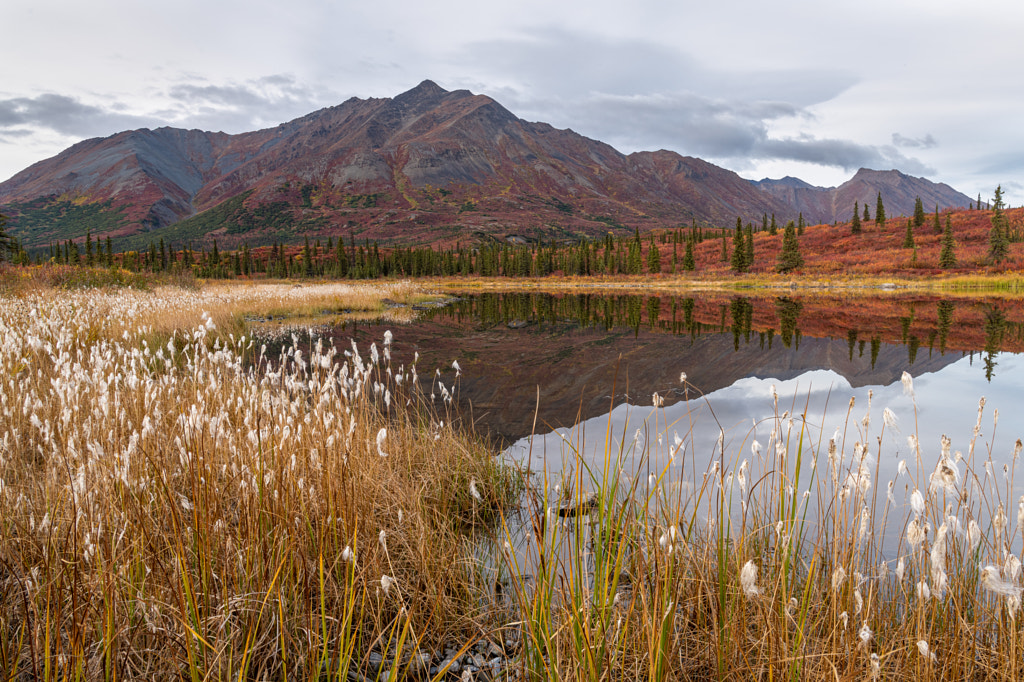 Alaskan Lake View by Barbara Mierau-Klein / 500px